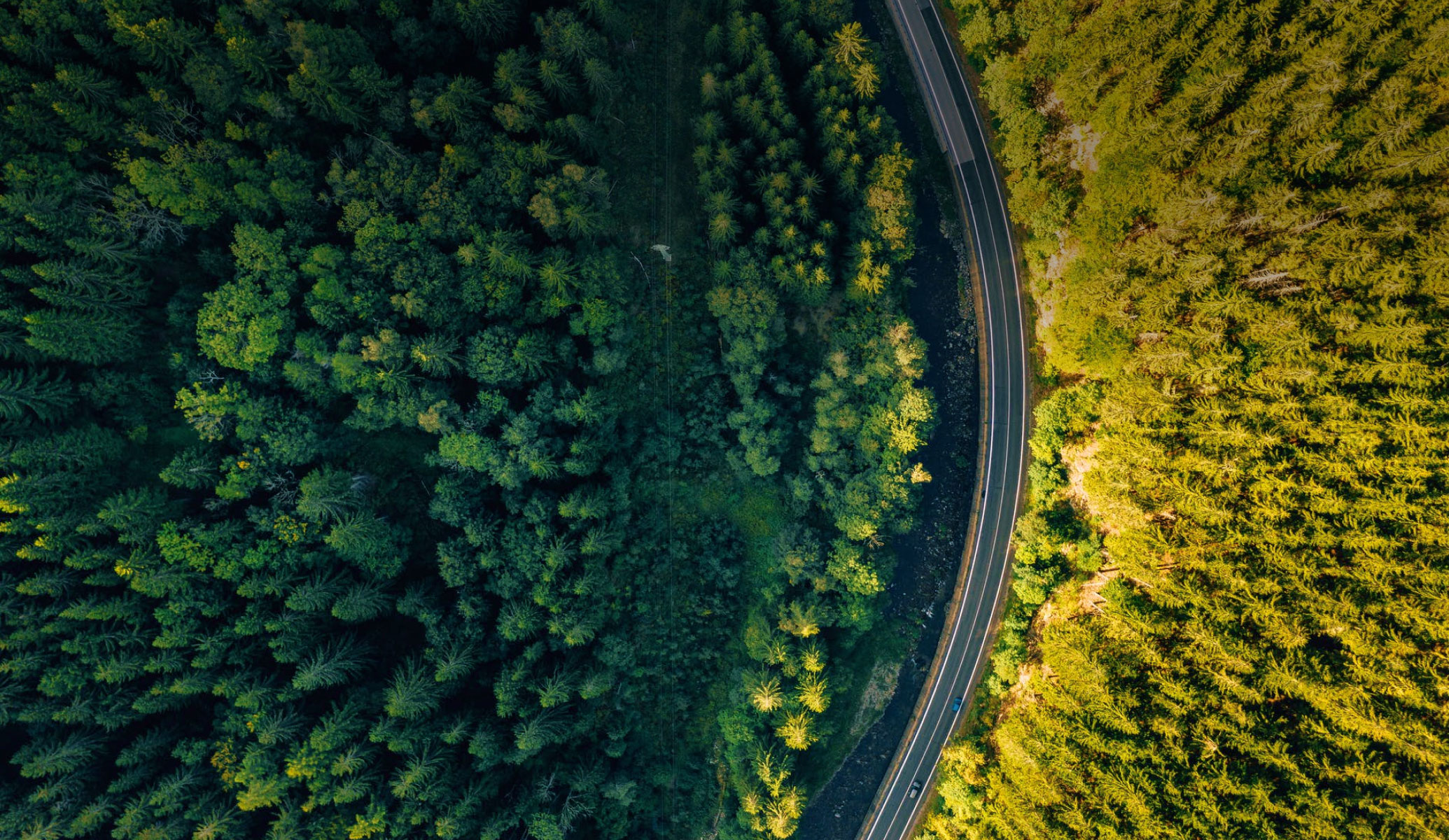 Financial Services Strategy | Jump Associates